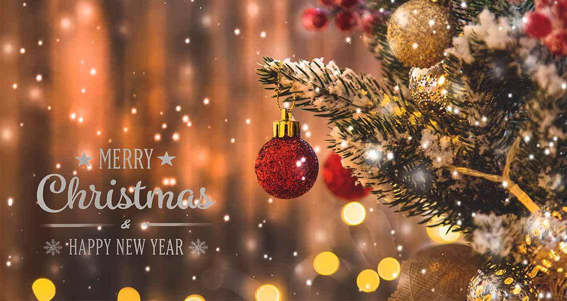 Merry Christmas 2023 From Earth Song Jewelry